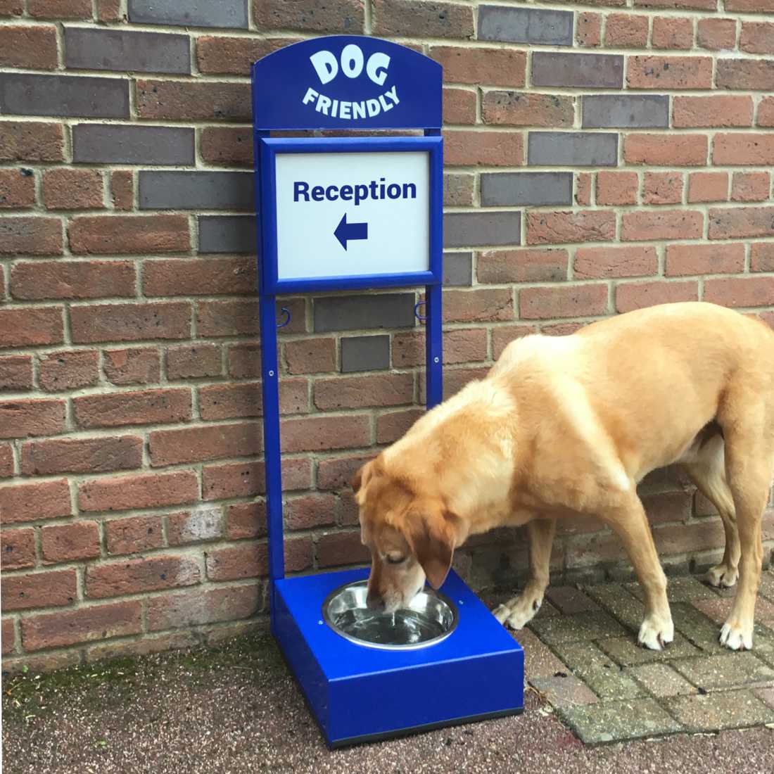 Outdoor dog drinking station with sign